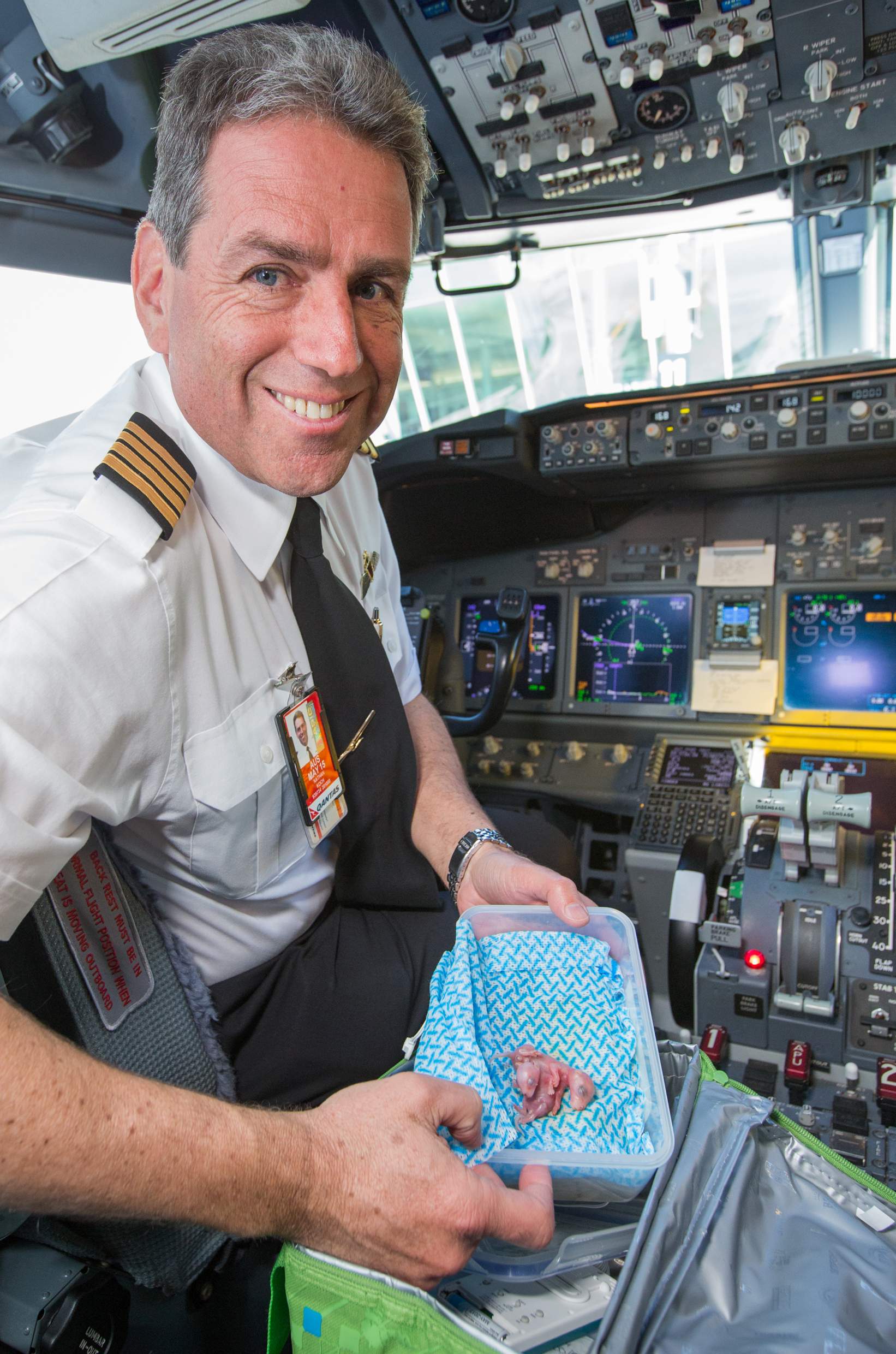 Pilot takes critically endangered southern brush-tailed rock wallaby ...