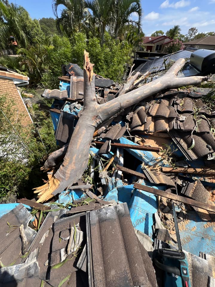 Woman killed by fallen tree as wild Christmas storm lashes south-east ...