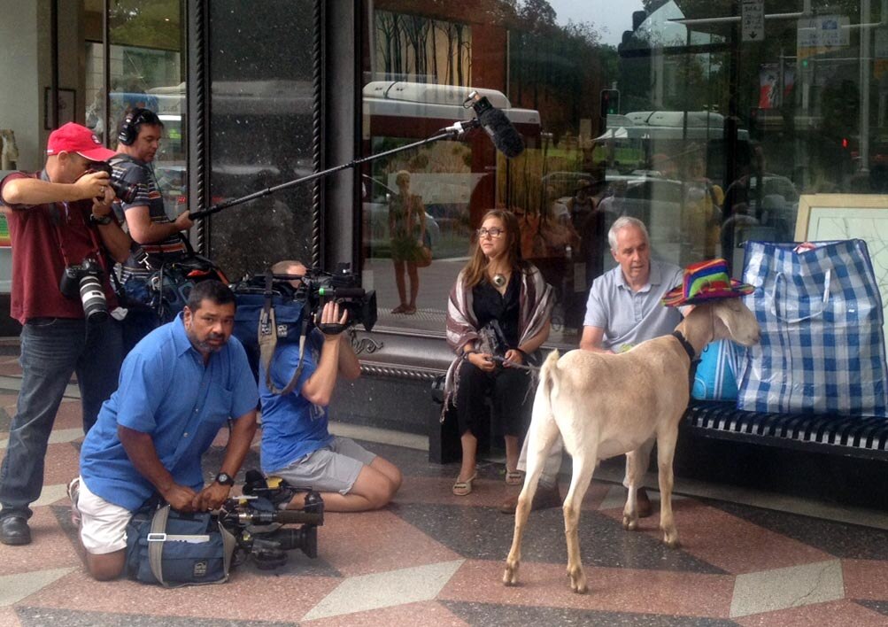 Owner of grass-eating goat bleats the rap - ABC News