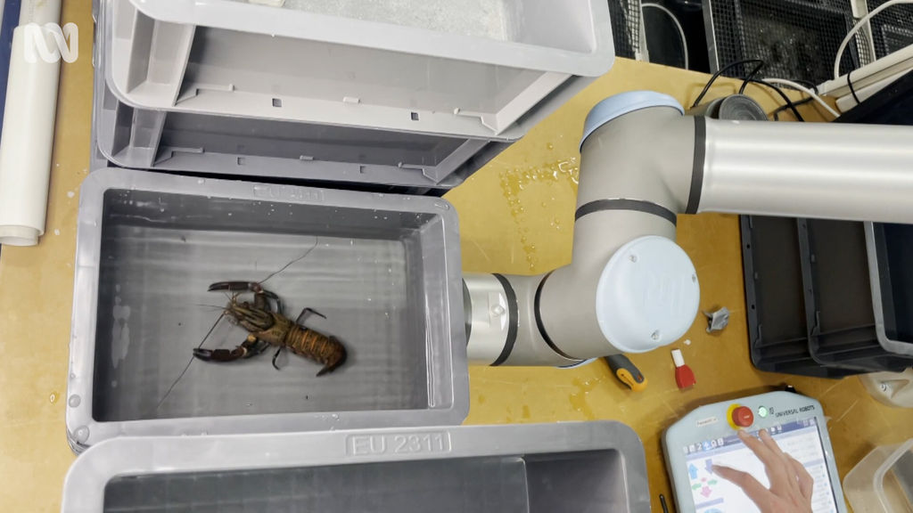 Robotics - Topic - ABC News