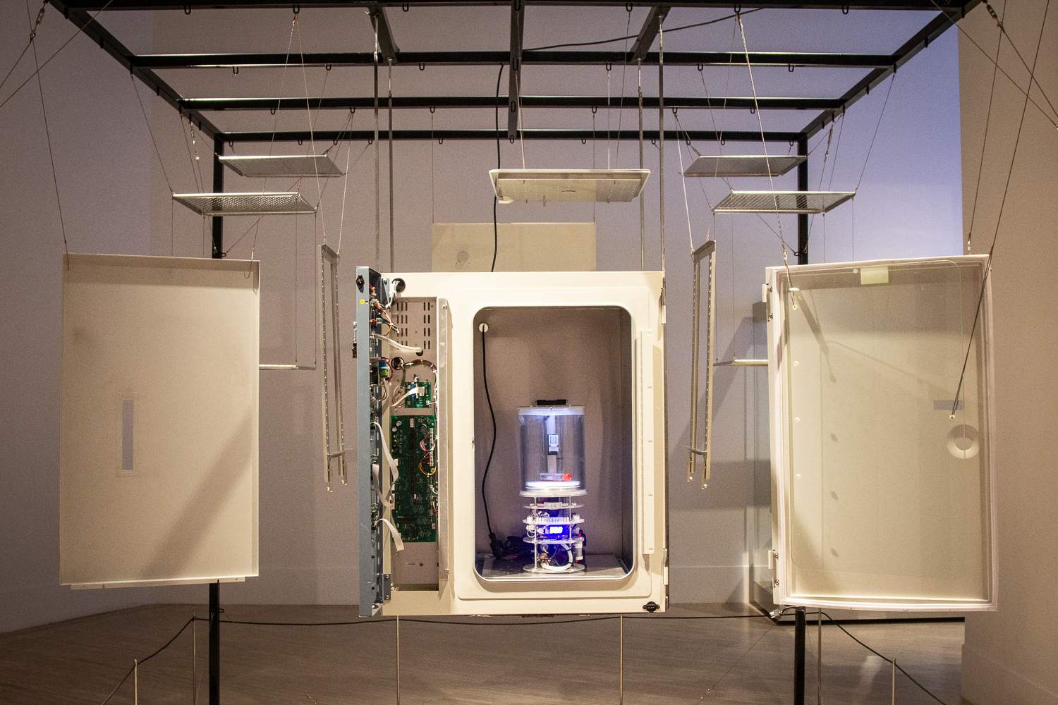 Biomess exhibition challenges conventional ideas of what belongs in a ...