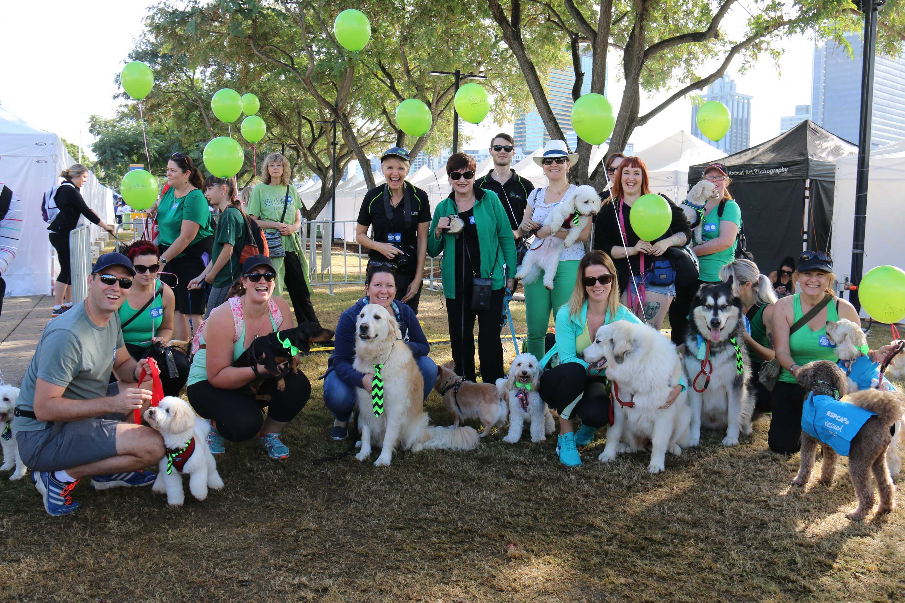 Thousands join RSCPA's Million Paws Walk to help rescued and ill ...
