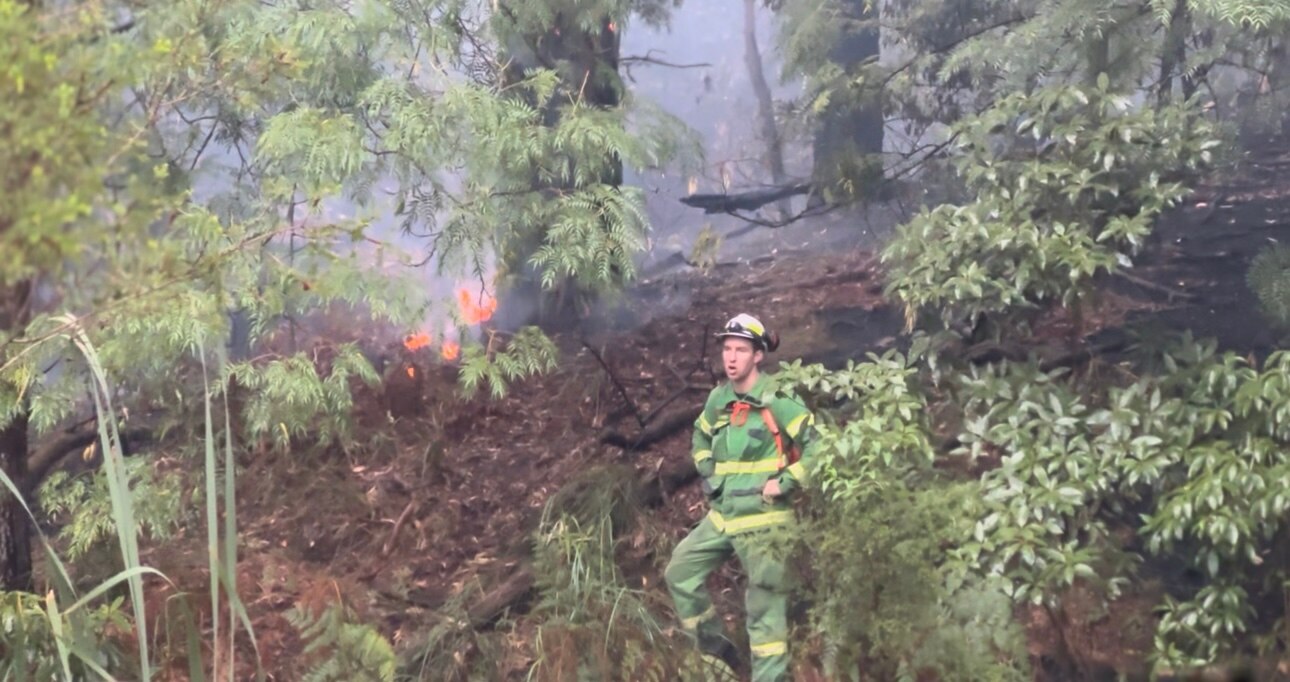 Montrose and Kilsyth bushfire brought under control as rain brings ...