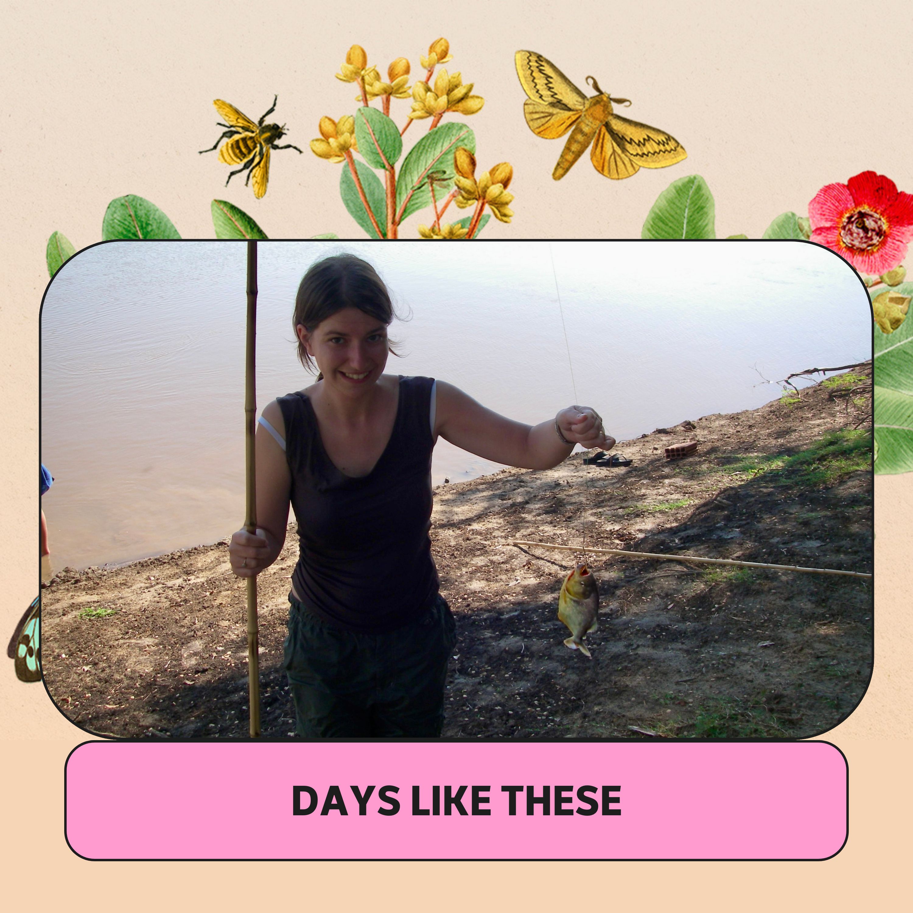 The Brazilian Package - ABC listen