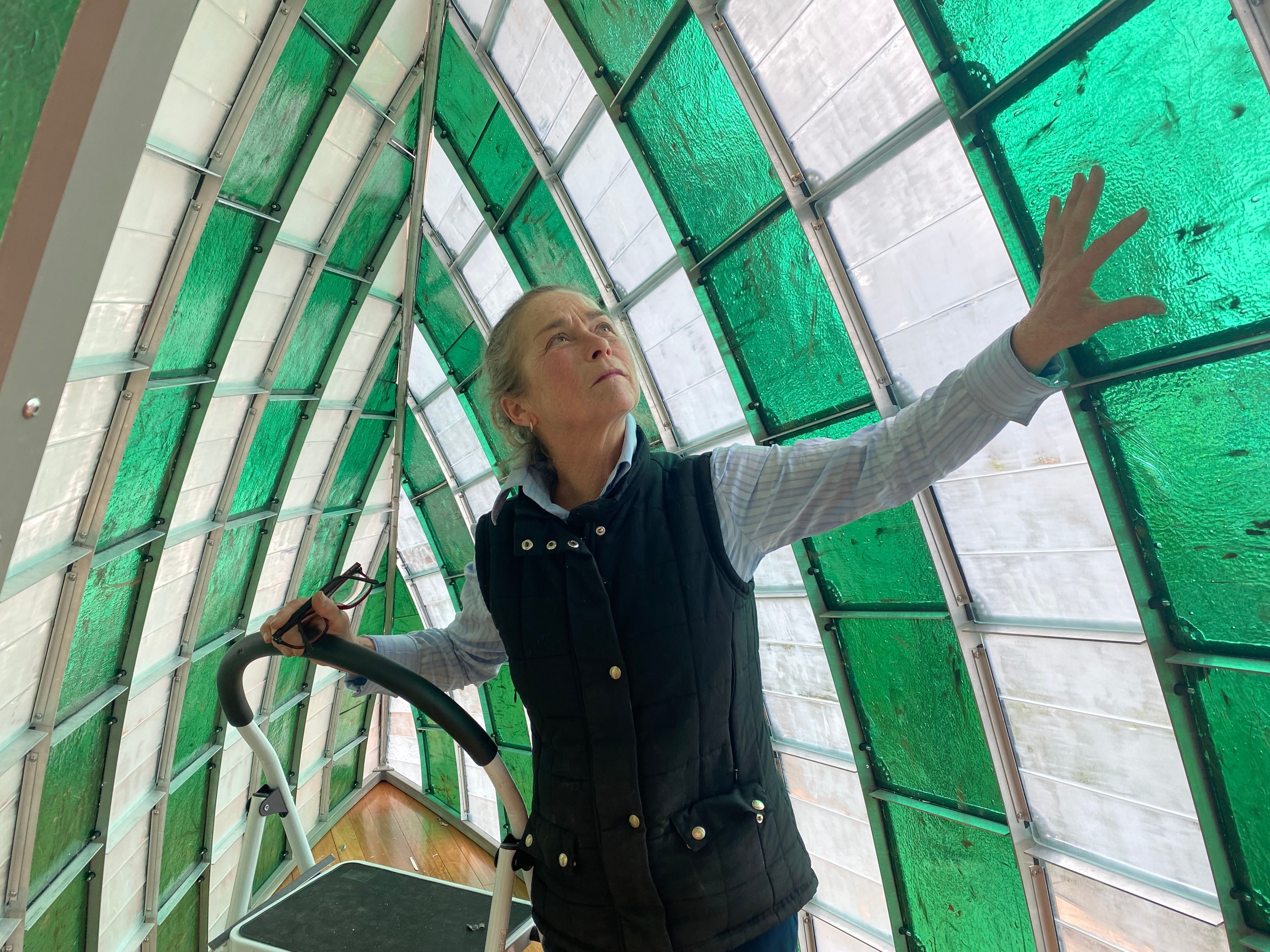 Elizabeth Kelly's 'Glasshouse / Greenhouse' encourages clear thinking ...