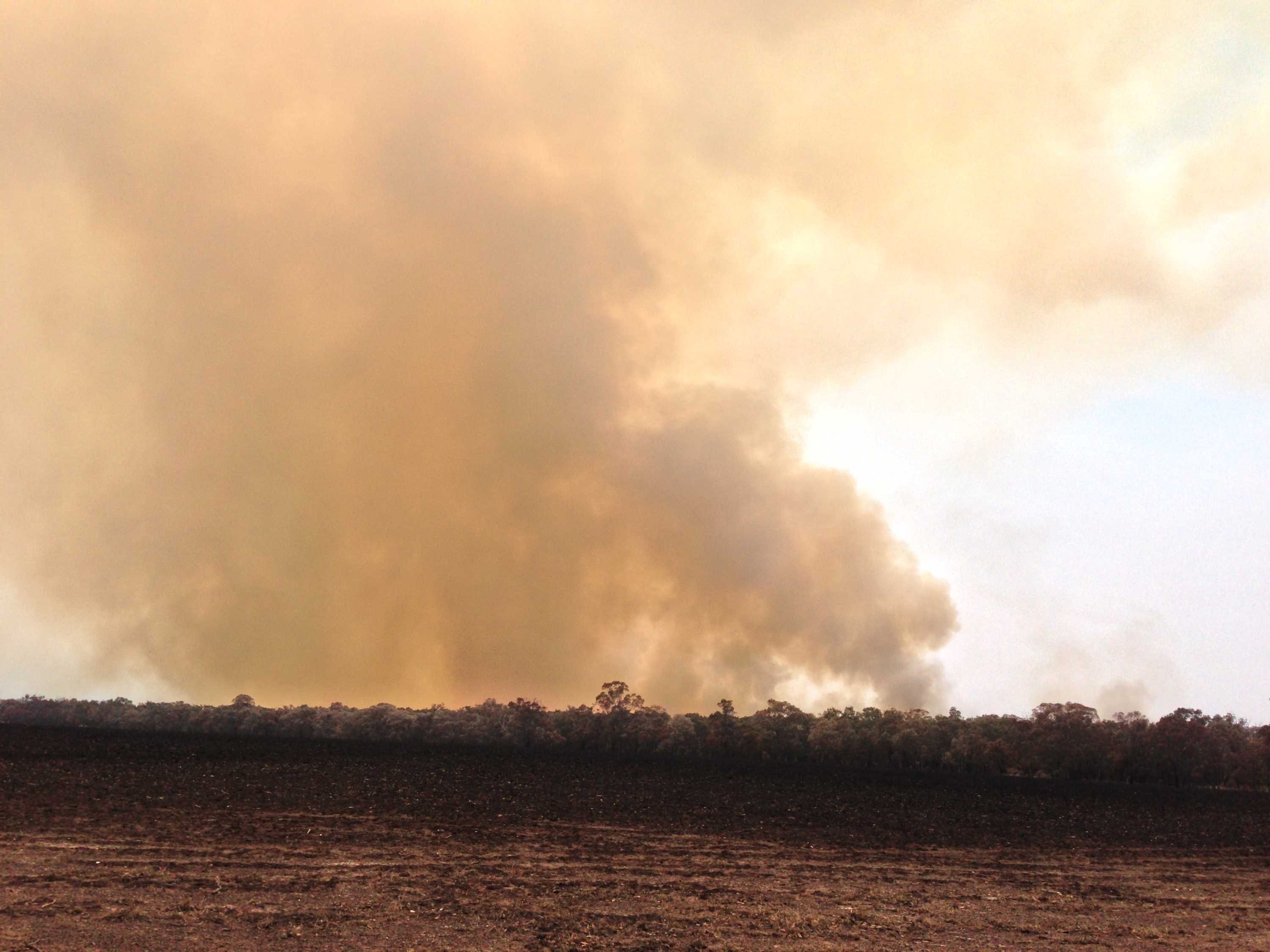 Live: Fire threat eases across southern Australia - ABC News
