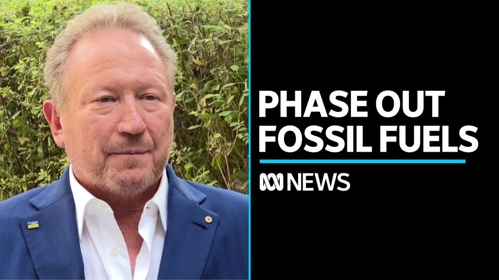 Australian mining magnate Andrew Forrest attends COP28 - ABC News