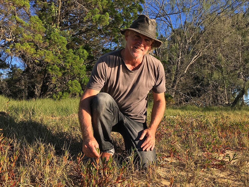 Demand for native foods pushes foraging trend to greenhouse cultivation ...