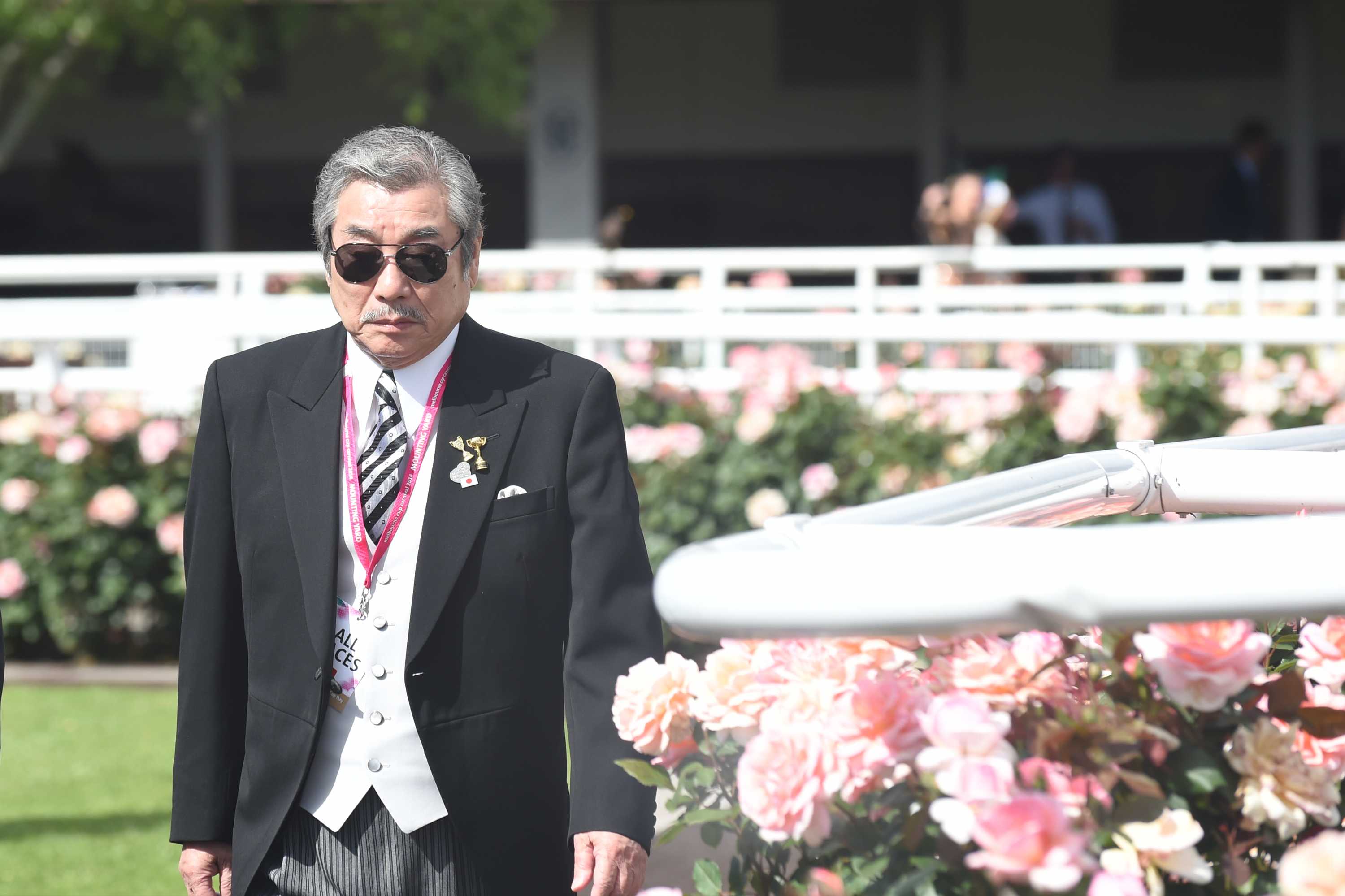 Admire Rakti dies in stalls in Melbourne Cup collapse after finishing ...