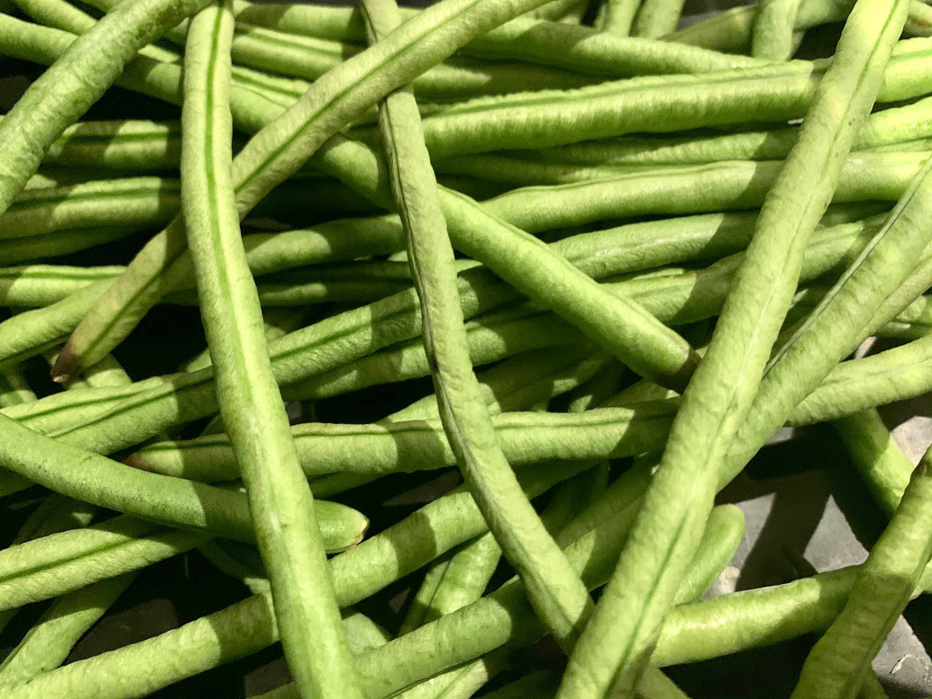Snake bean prices sky high for NT farmers - ABC listen