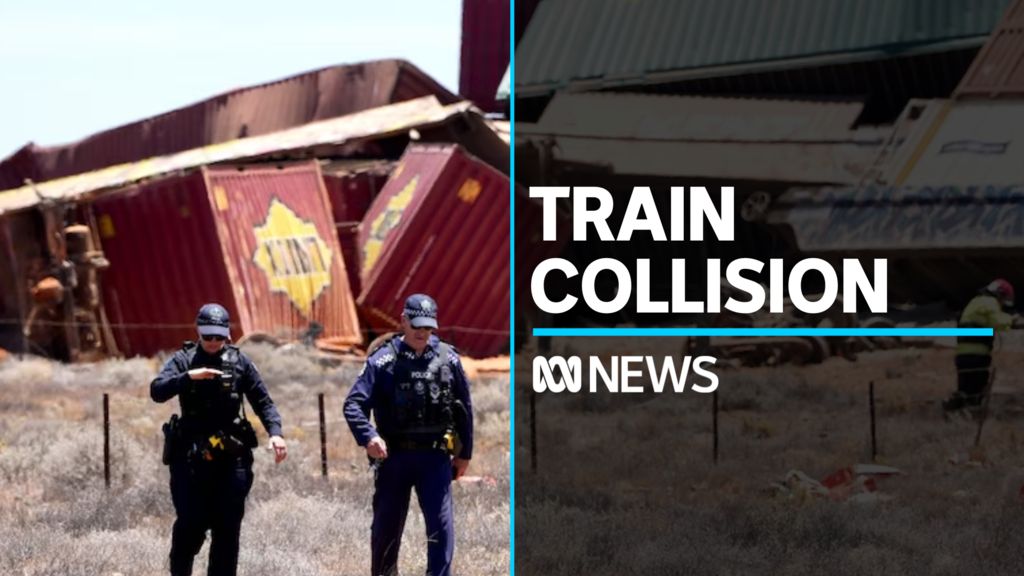Two train workers dead after crash between train and truck near NSW and ...