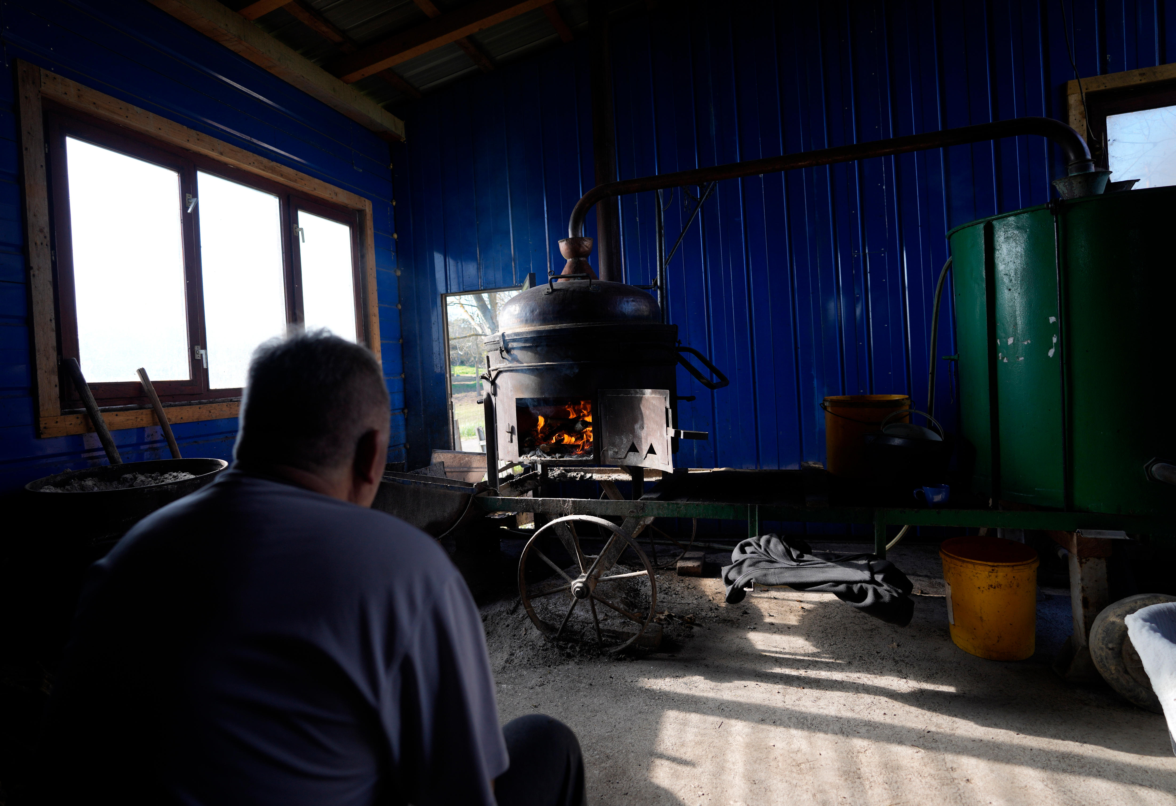 Serbian plum brandy slivovitz in the hunt for UN recognition as ...