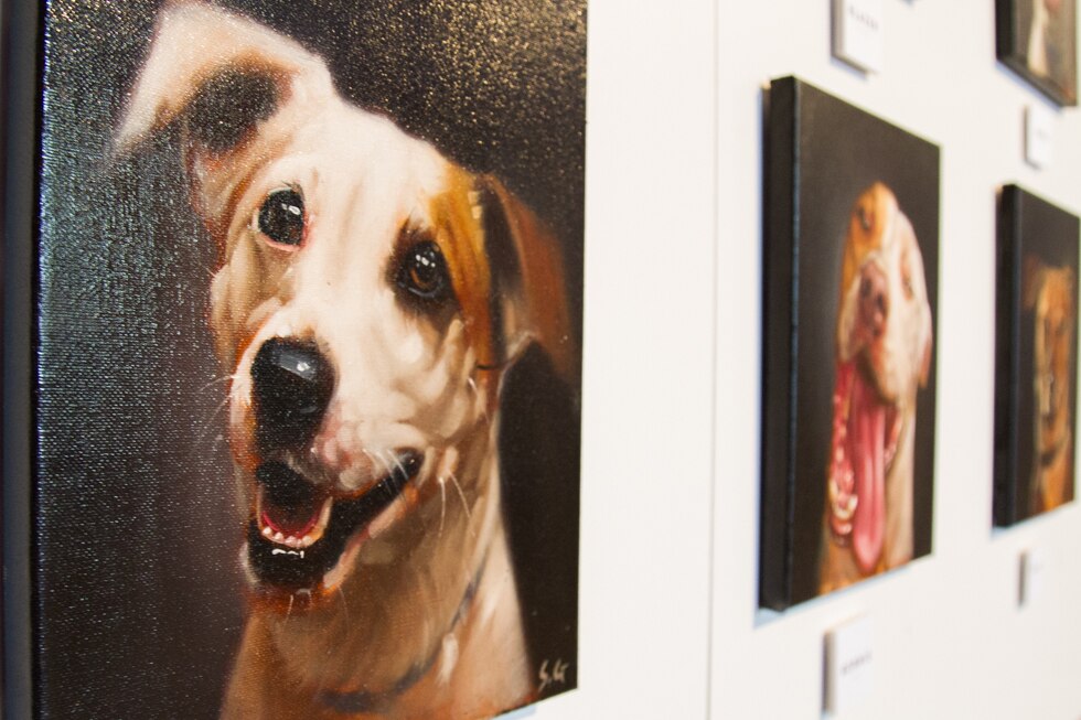 Artist paints the portraits of 100 shelter dogs to encourage others to ...