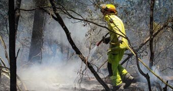 Queensland weather: Bushfires near Rockhampton and Brisbane contained ...