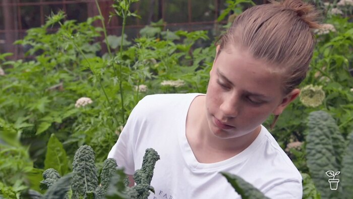 Jude & the Beanstalk - Gardening Australia