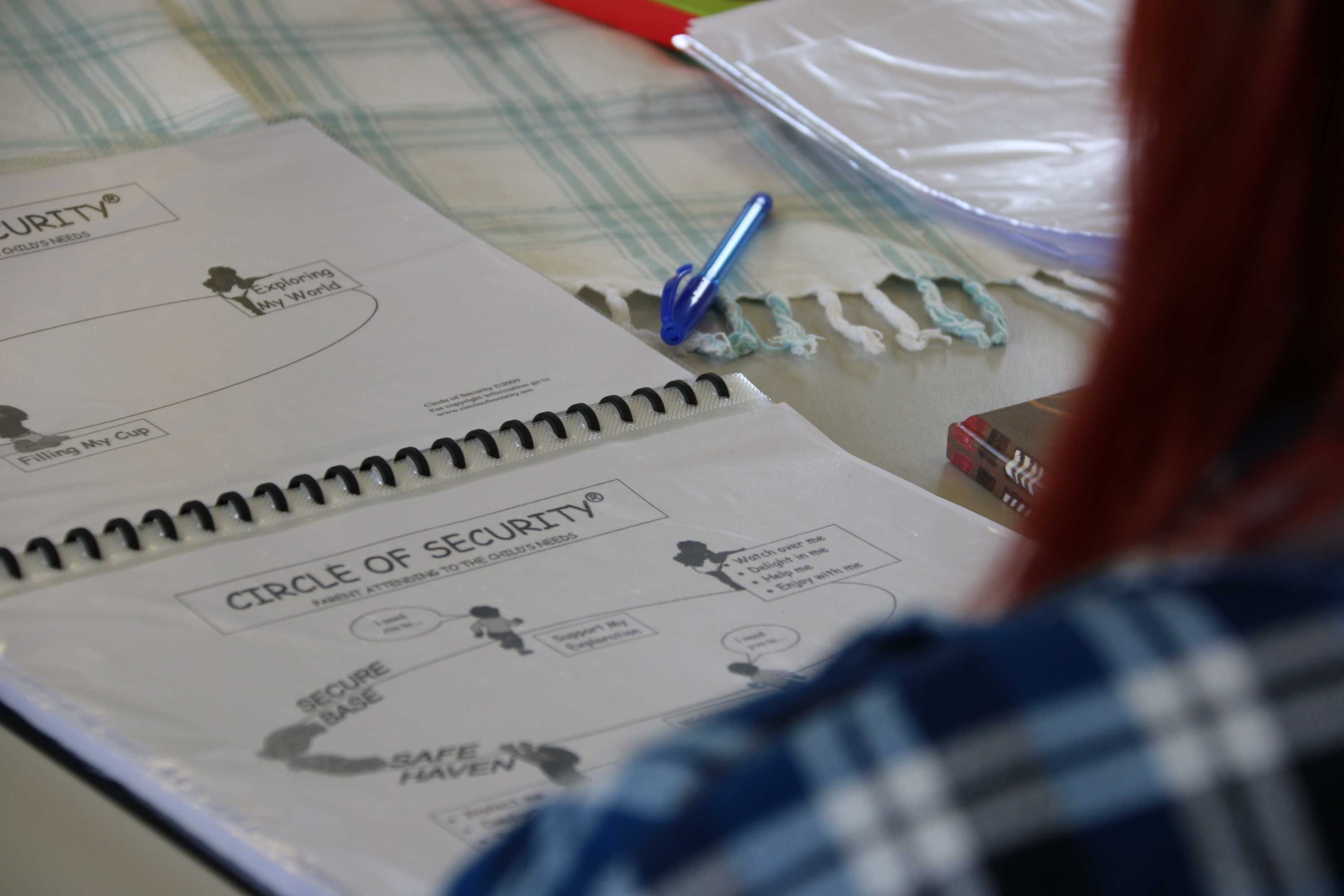 Prison parenting program given $150k to help Tasmanian offenders ...