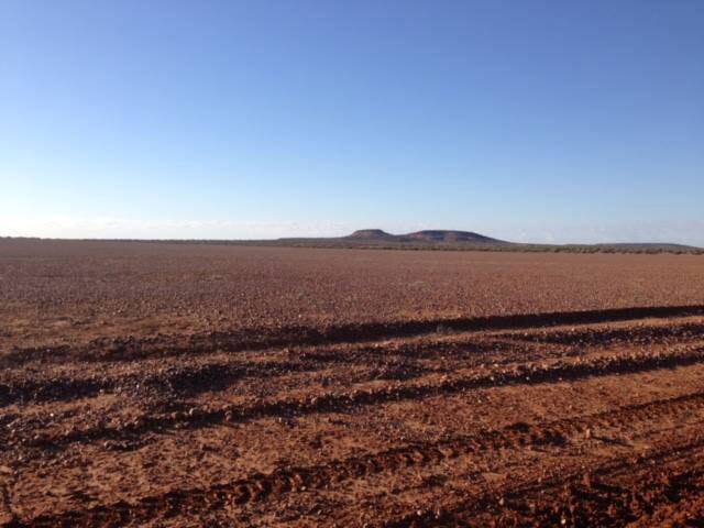Drought-ravaged outback Queensland councils fail to qualify for federal ...