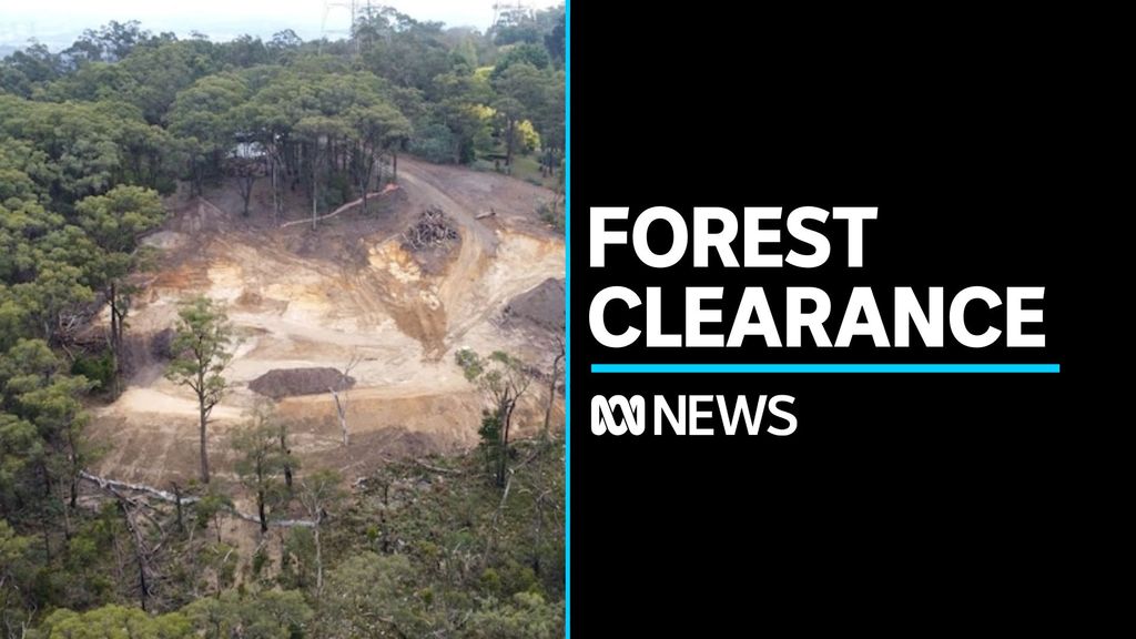 Forests - Topic - ABC News