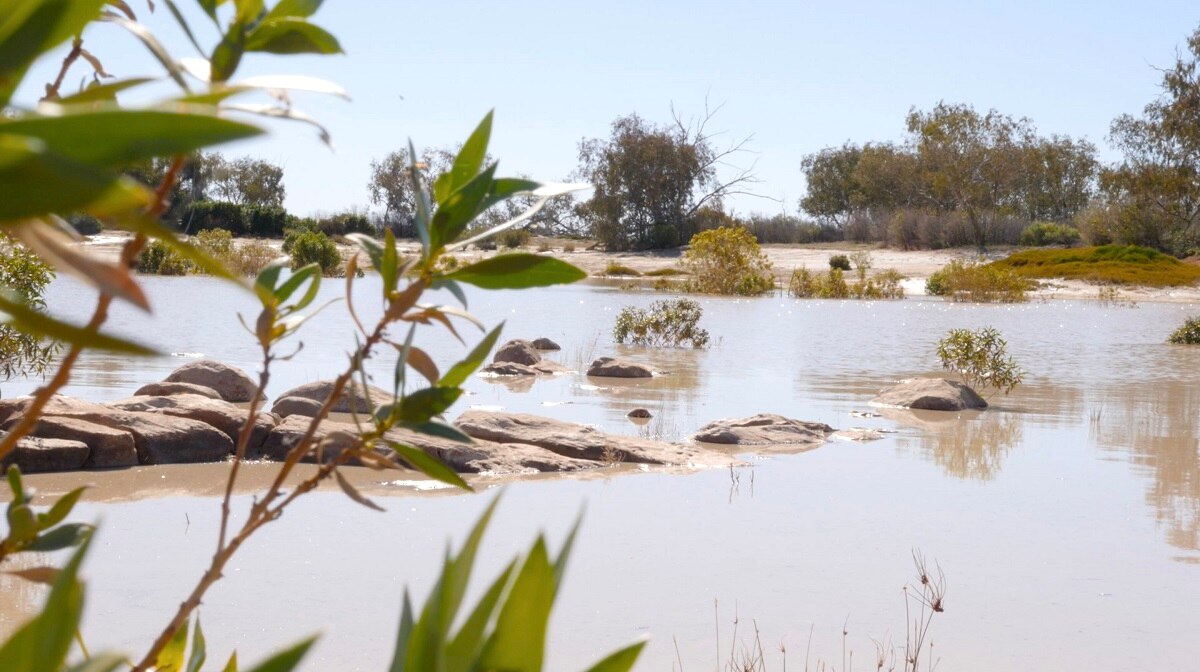 Peery Lake and Paroo River Wetlands fill in once-in-a-decade outback ...