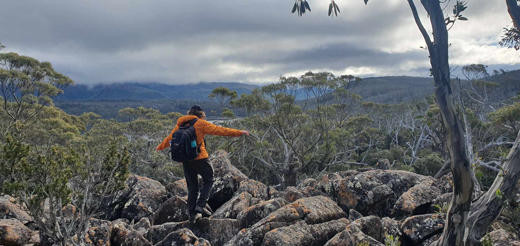 PhD enrolments decline in Australia as economic pressures discourage ...