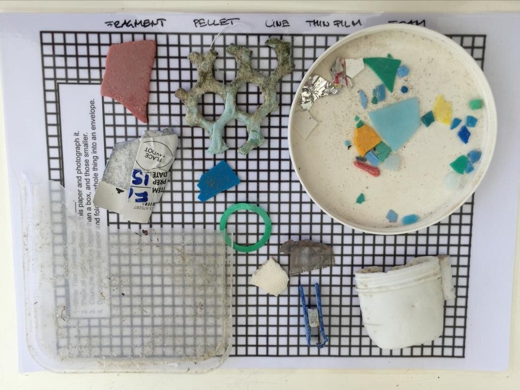 Plastic – it has been accumulating in our oceans since the 1950s - ABC ...