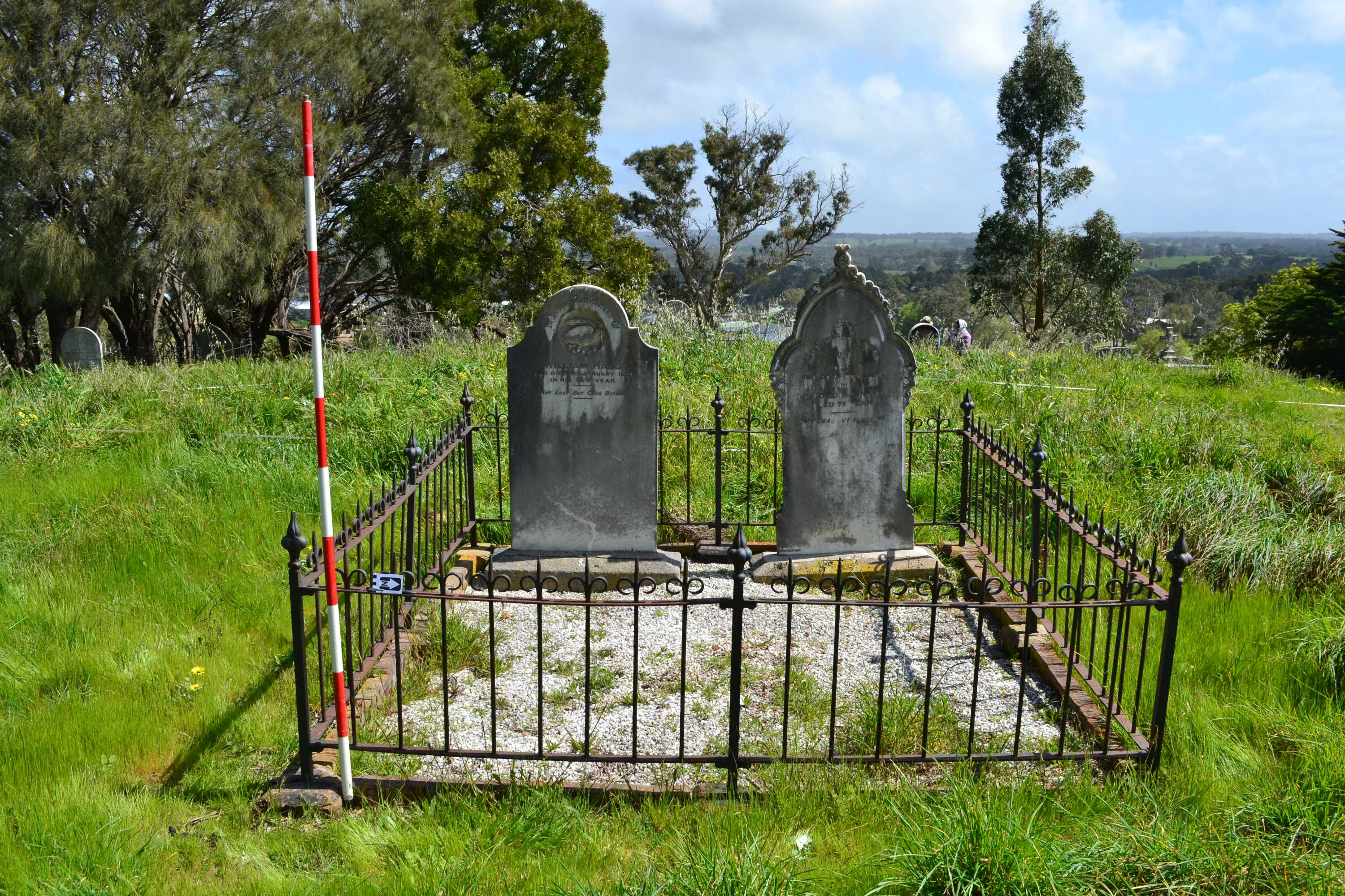 Unmarked suicide graves excluded from cemeteries to be identified by ...