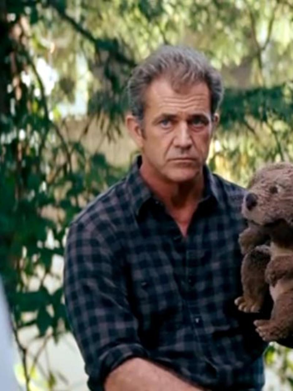 Gibson's Beaver finds a home - ABC News