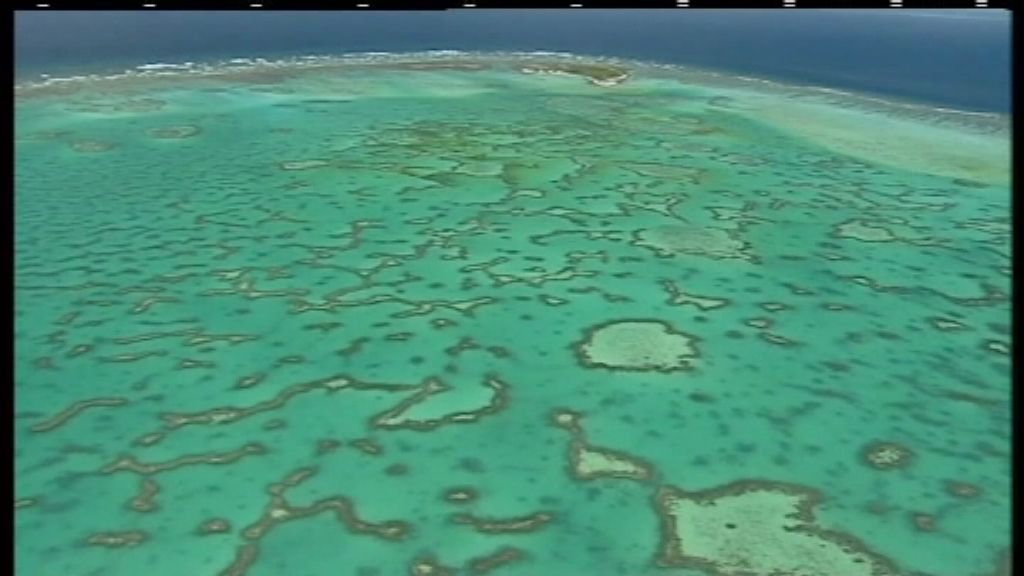 New discoveries about Australia's Great Barrier Reef - ABC News