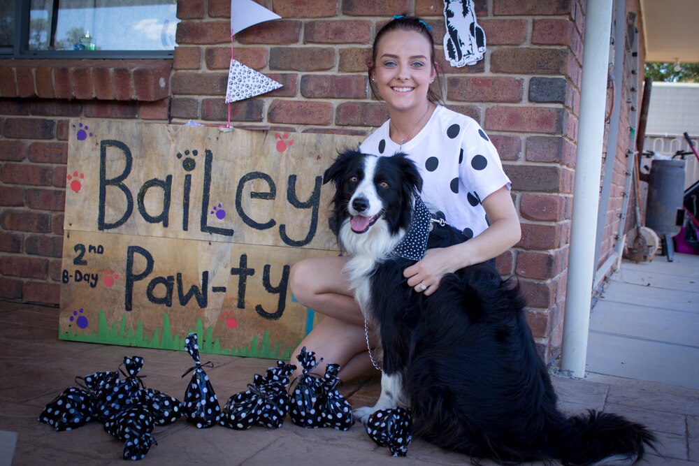 Pet fur conservator Marion Wheatland spins dog fur into yarn, keeping ...