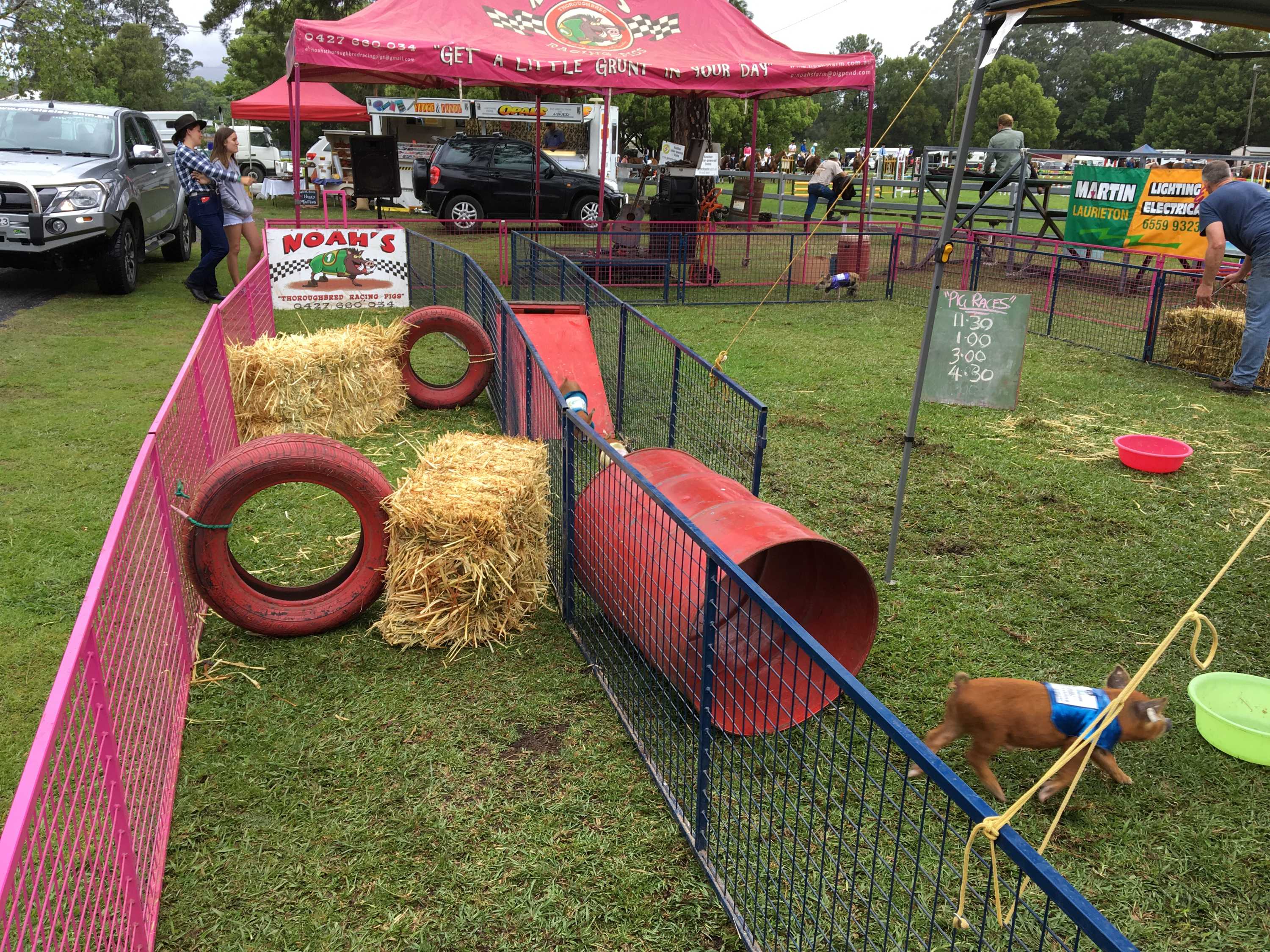 Pig racing at country shows not yet a rival to a trip to the trots ...