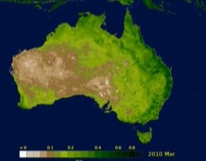 Scientists map pollen levels to develop early warning system for asthma ...