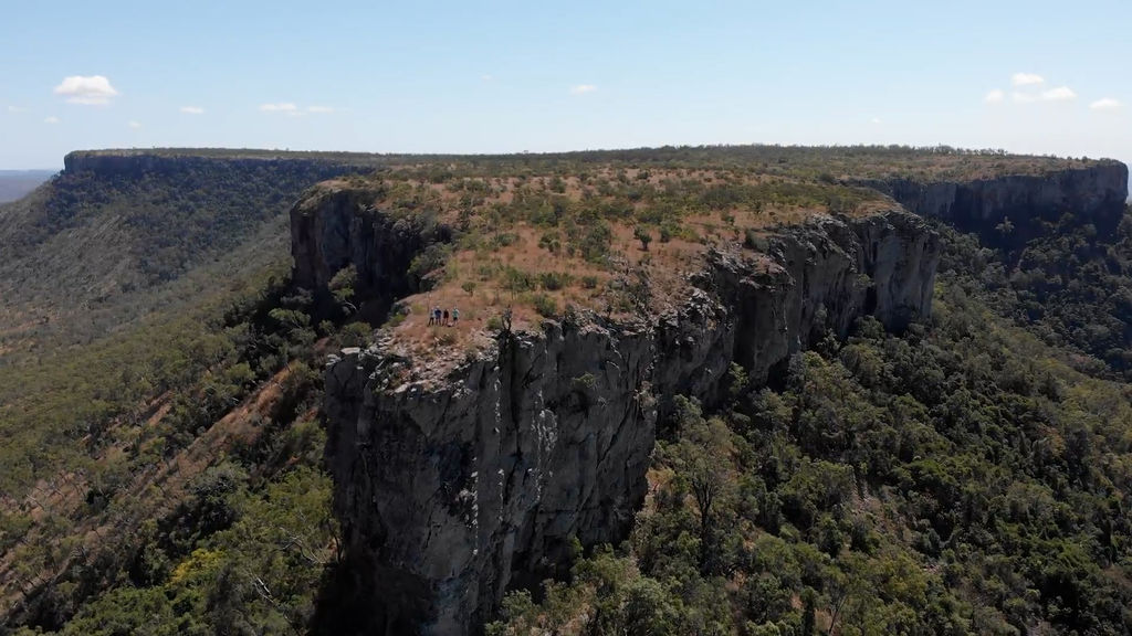 The best free nature walks in and around central Queensland - ABC News