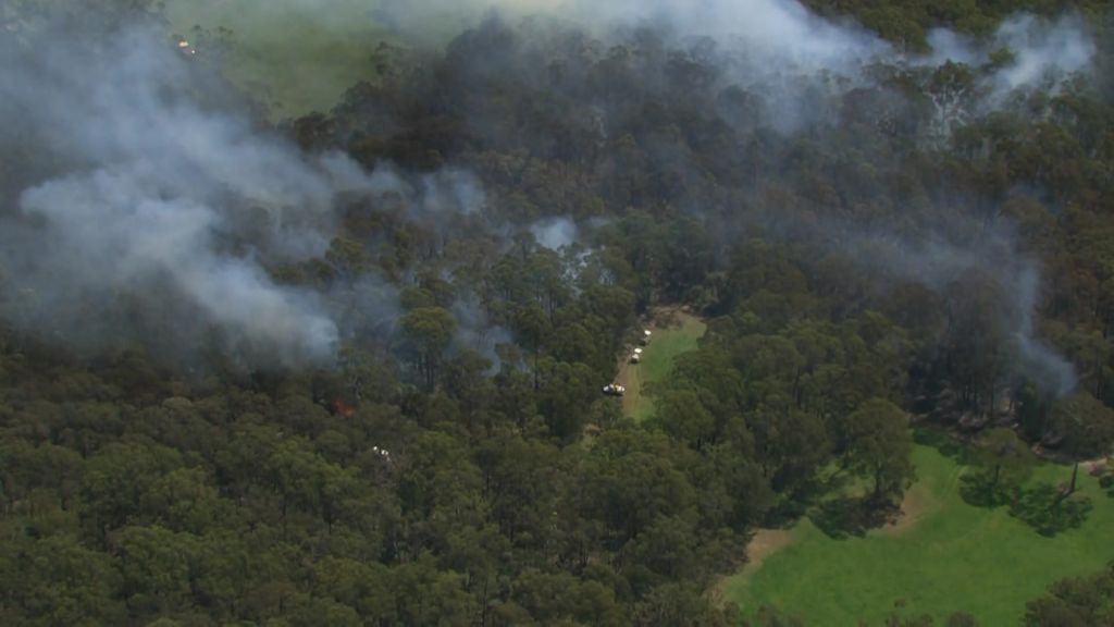 Bird's eye view of fire in Gellibrand in Victoria's southwest - ABC News