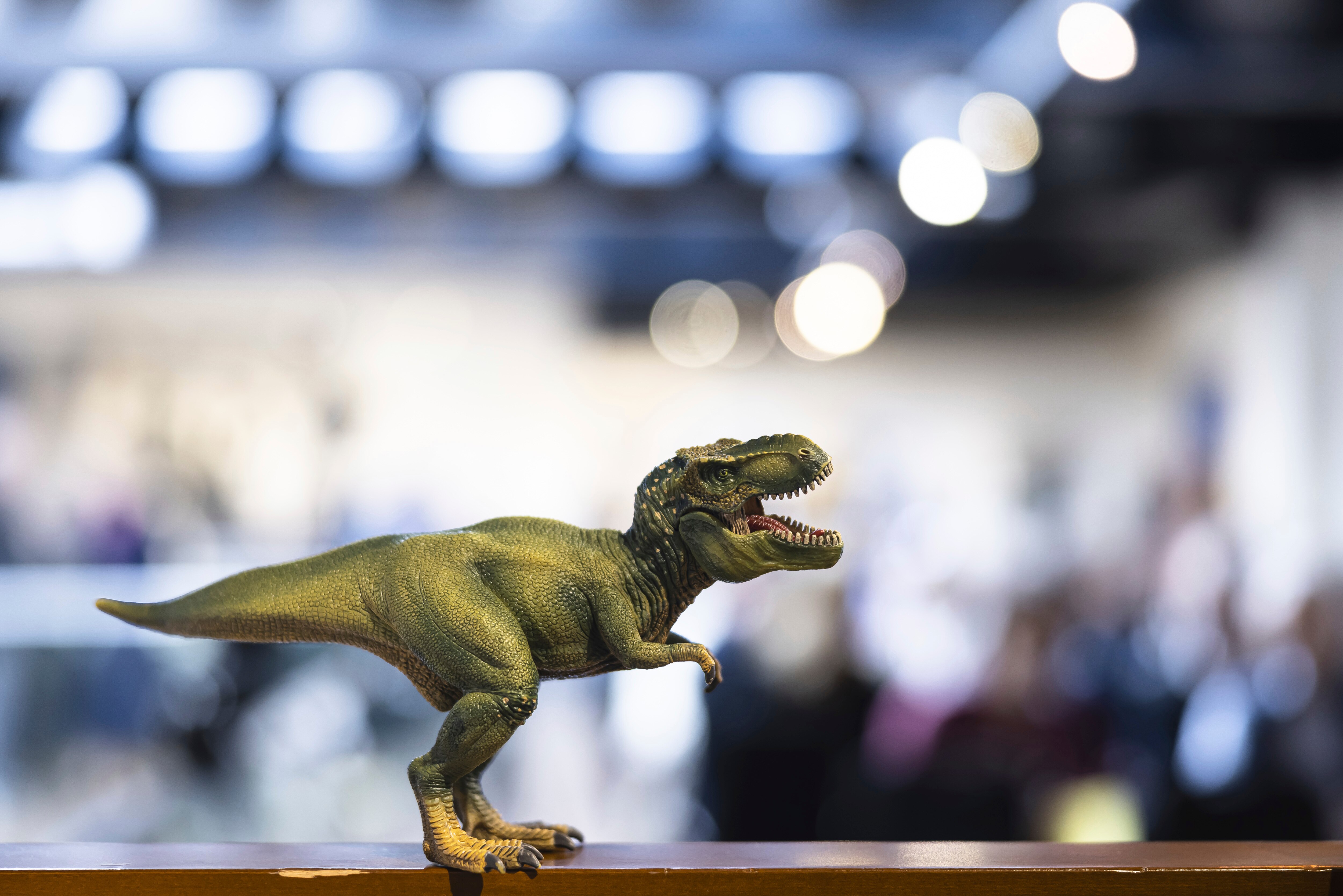 Complete Tyrannosaurus rex skeleton named 'Trinity' sells for $8 ...