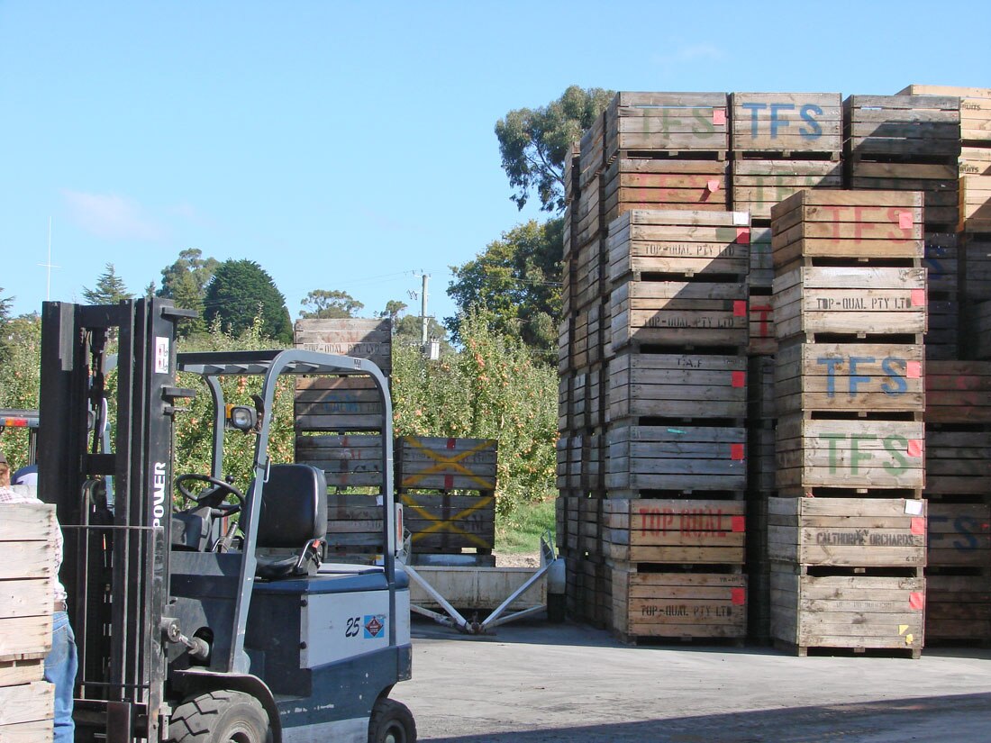 Fair Work Ombudsman checks non-compliance causes - ABC News