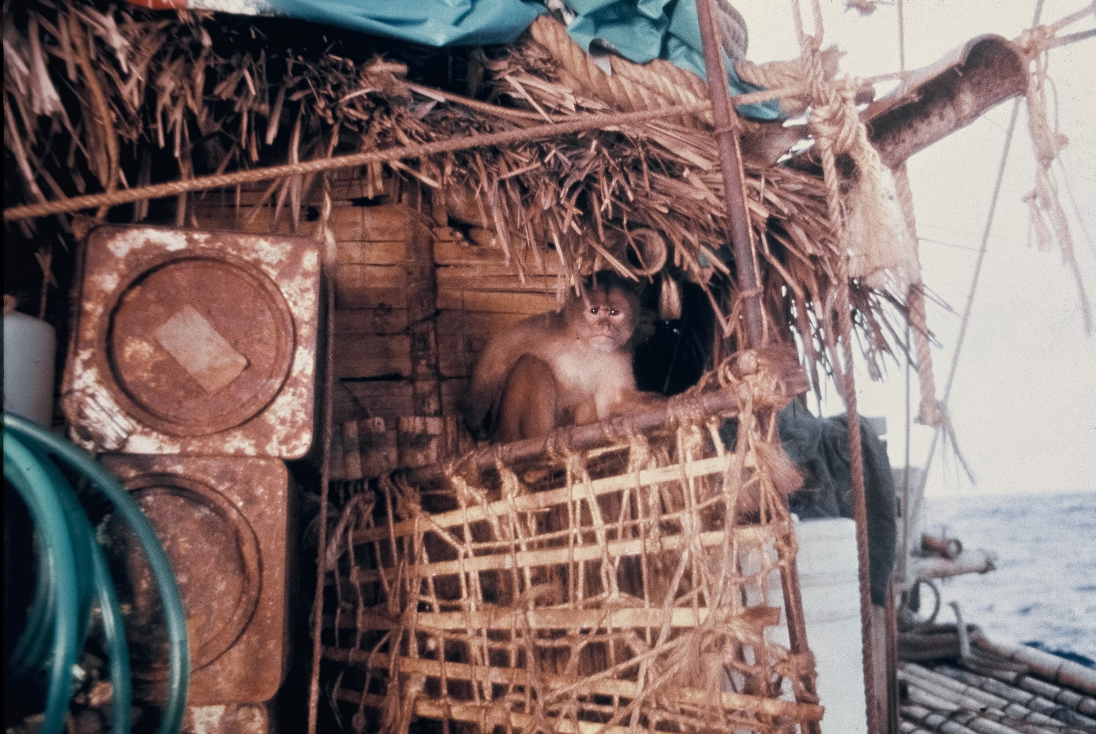 Epic 1970s raft journey from Ecuador to Ballina still holds world ...