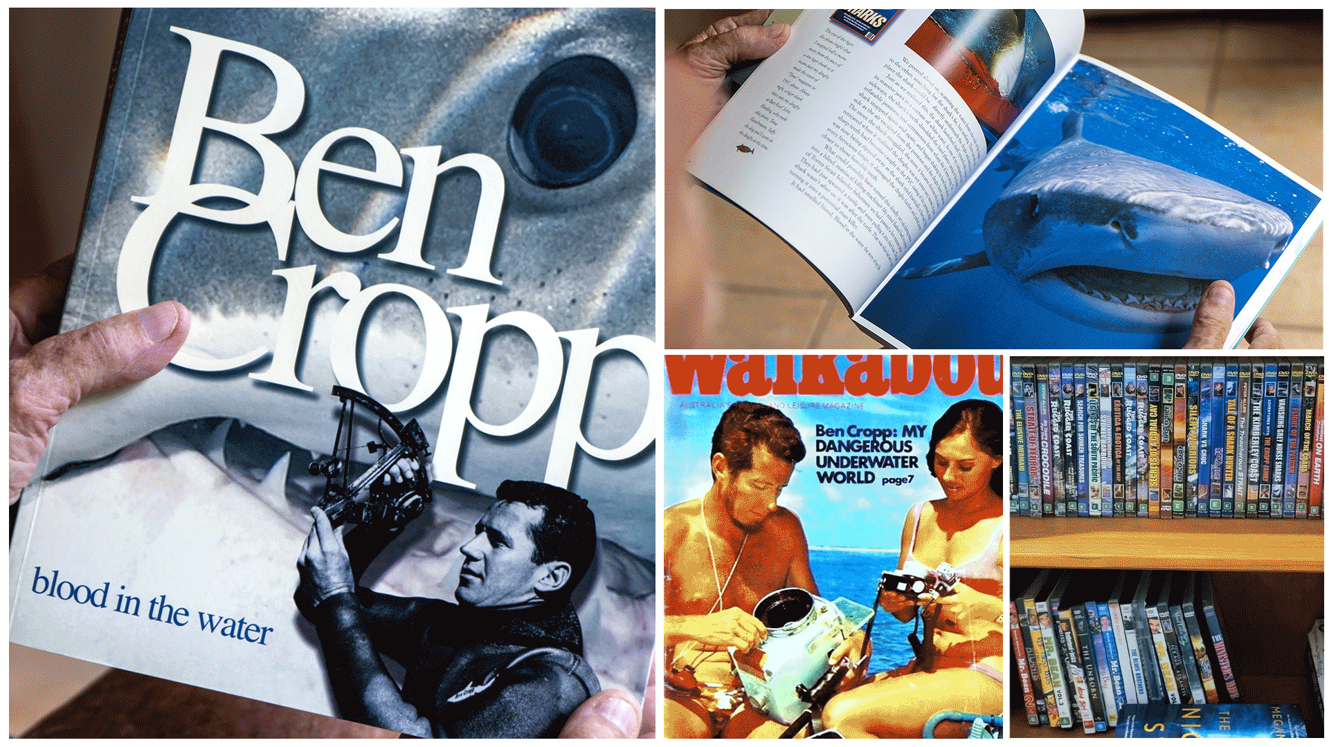 Ride on a 'monster' changed the life of underwater adventurer Ben Cropp ...