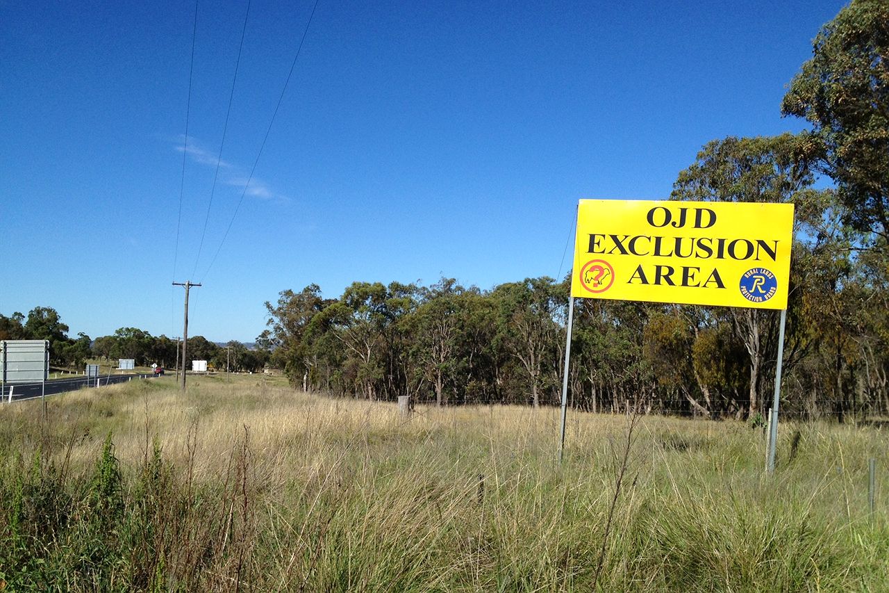 More argument about OJD vaccine - ABC News