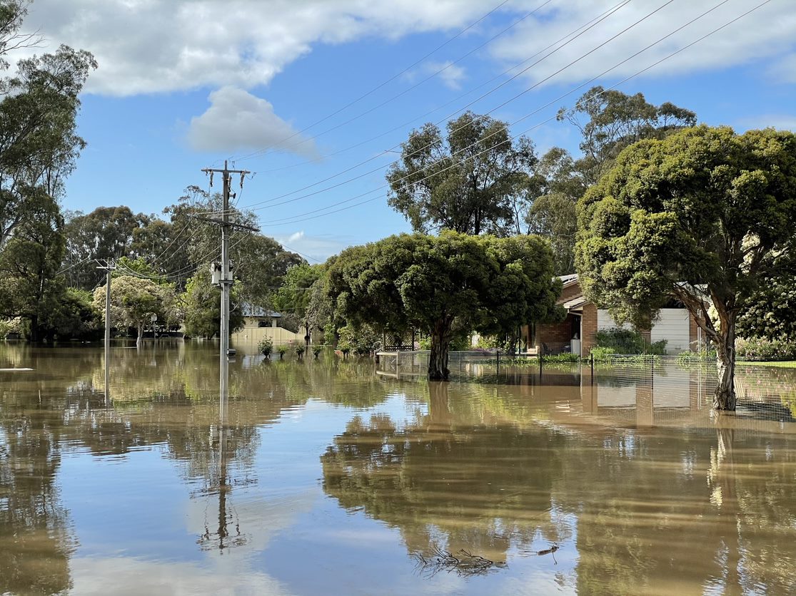 Building work begins on Victorian wind farm to supply ACT with ...