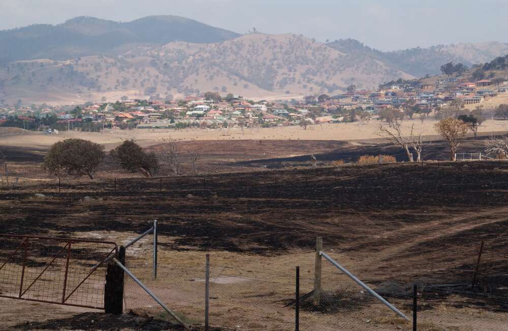 Lessons learnt from the 2003 Canberra firestorm for protecting horses ...