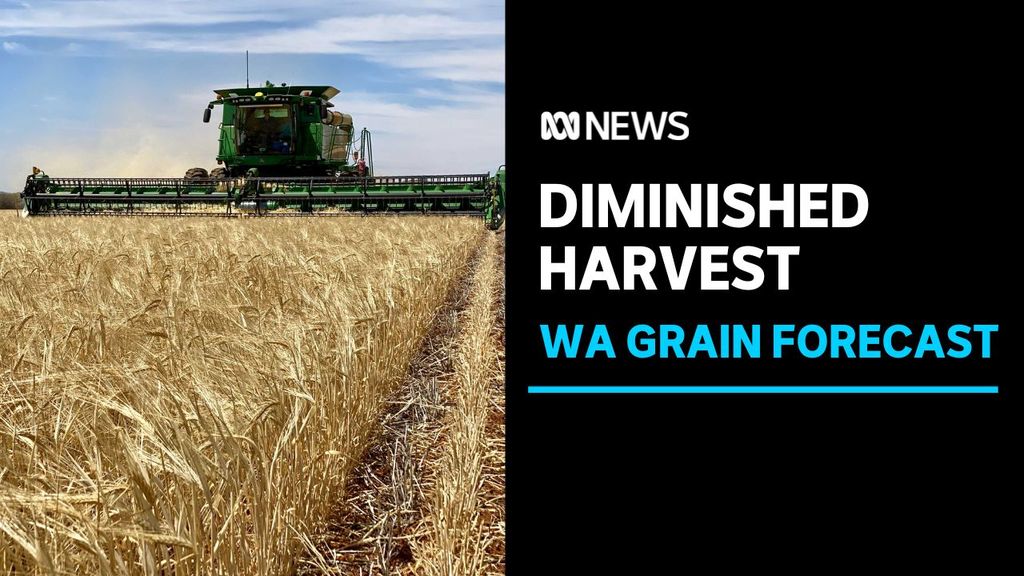 Agriculture - Topic - ABC News