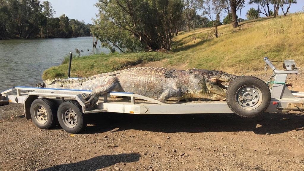 Croc-infested waters prepare Aussie rowers for world championships ...