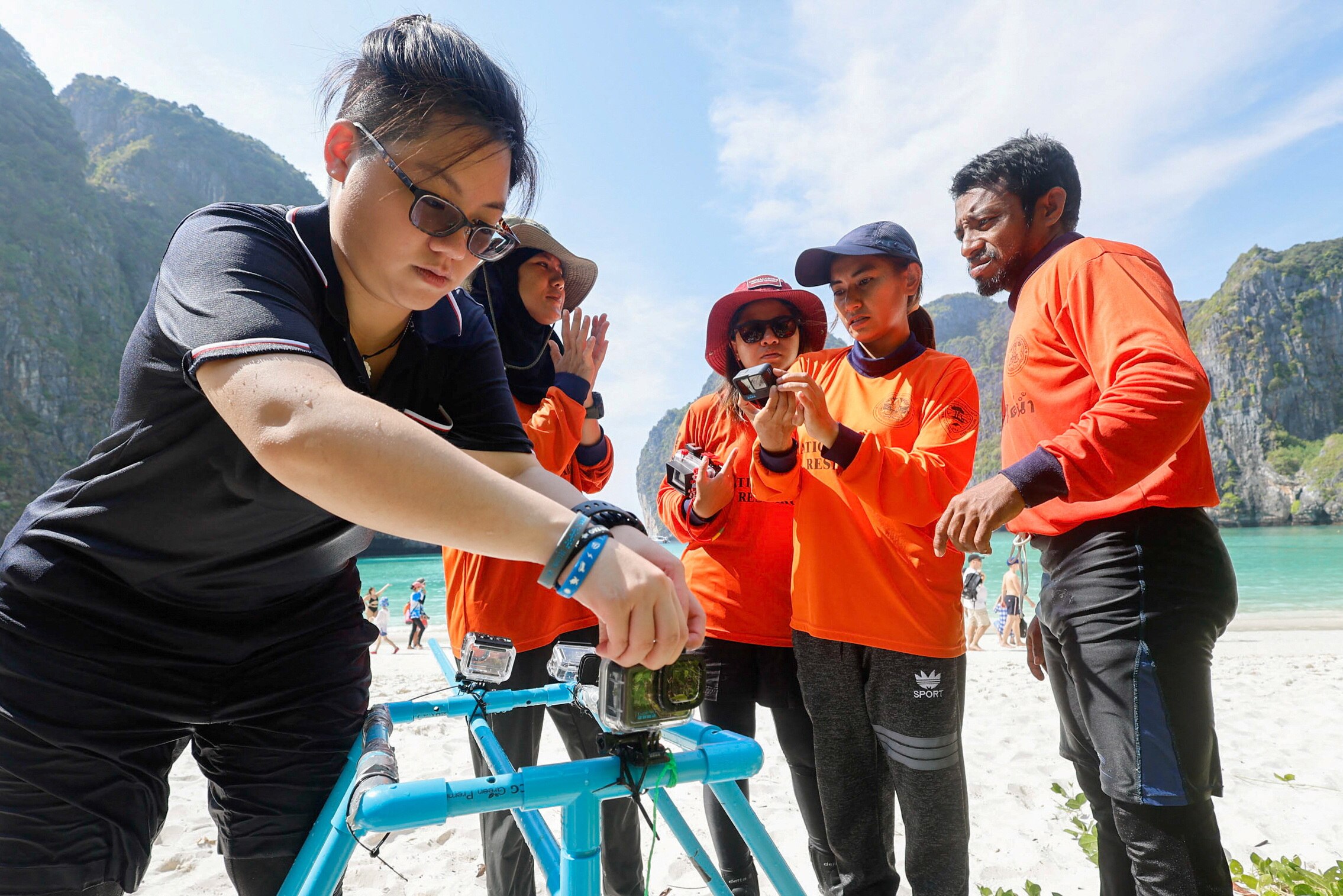 Sharks return to Thailand's Maya Bay, but balancing wildlife and ...