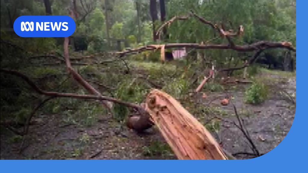 Reports of damage and close calls in and around Brisbane - ABC News