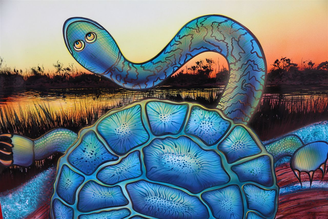 Creating art for education - ABC News