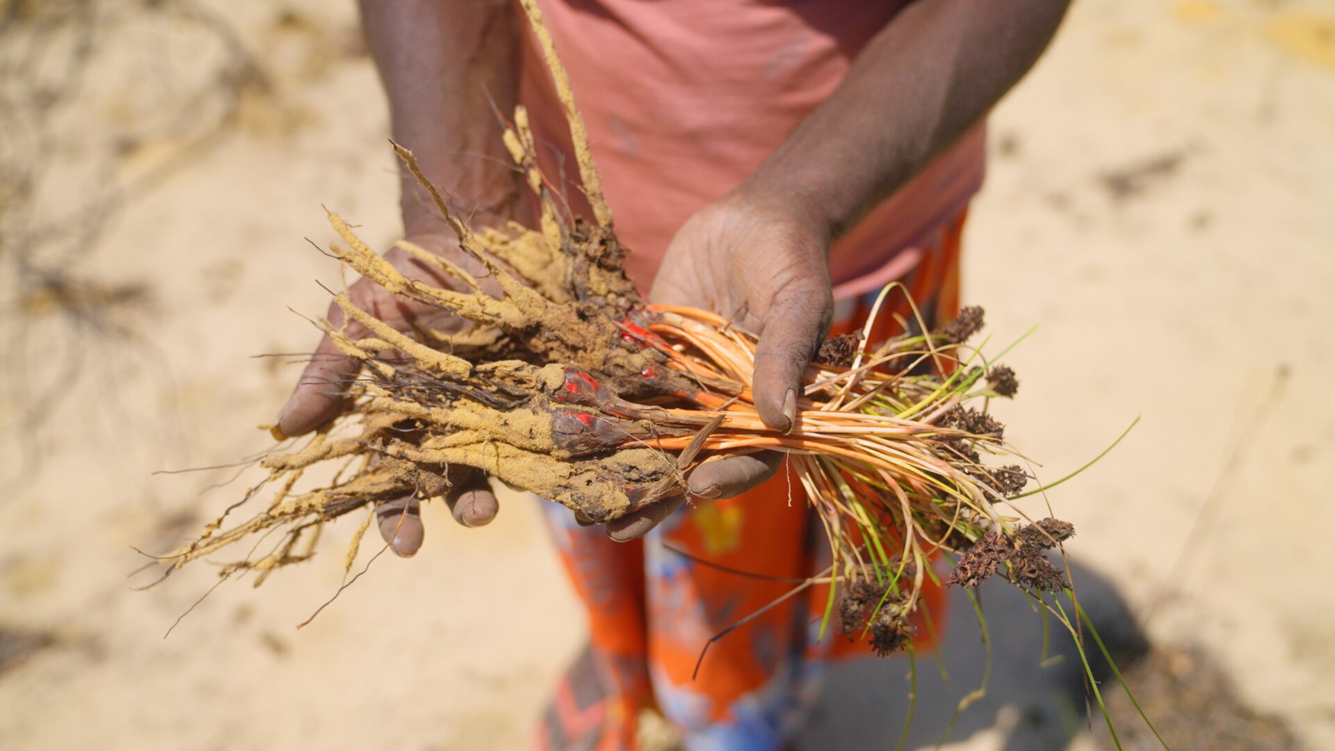 Mun-Dirra weavers - ABC News