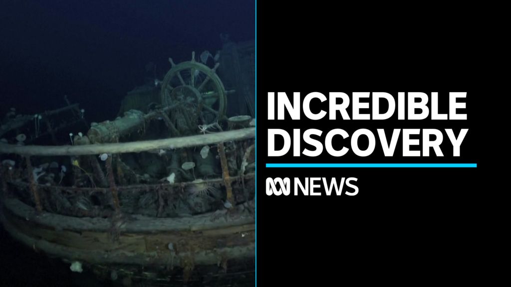 Darwin farm develops yellow dragon fruit - ABC News