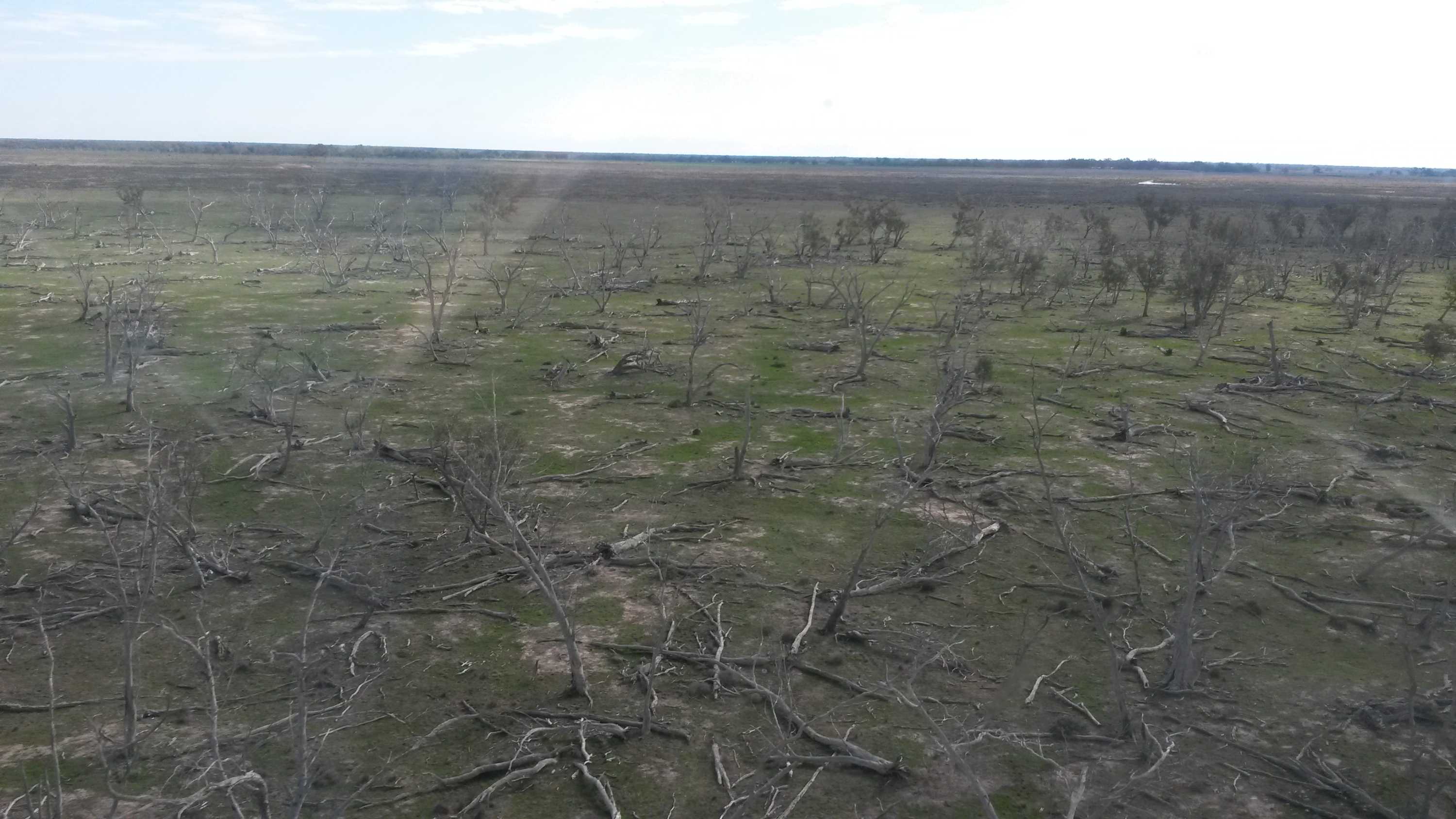 Murray-Darling Basin water fight: Dry conditions put plan to the test ...