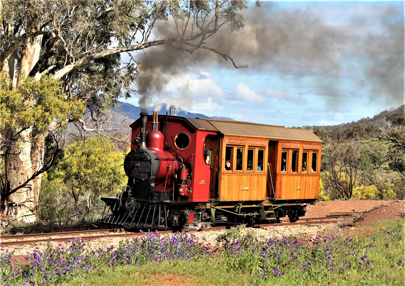 Historic Pichi Richi railway powered by SA volunteers for 50 years ...