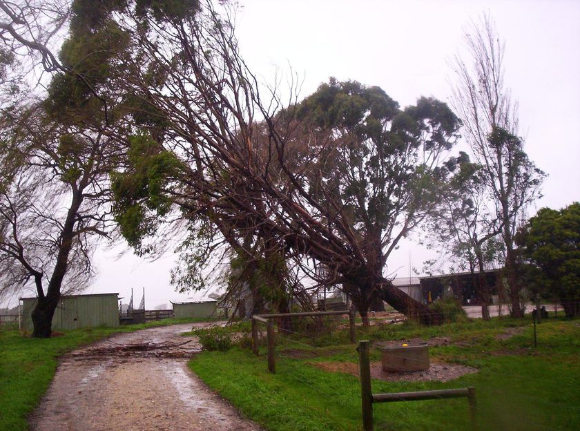 Strong wind warnings - ABC News